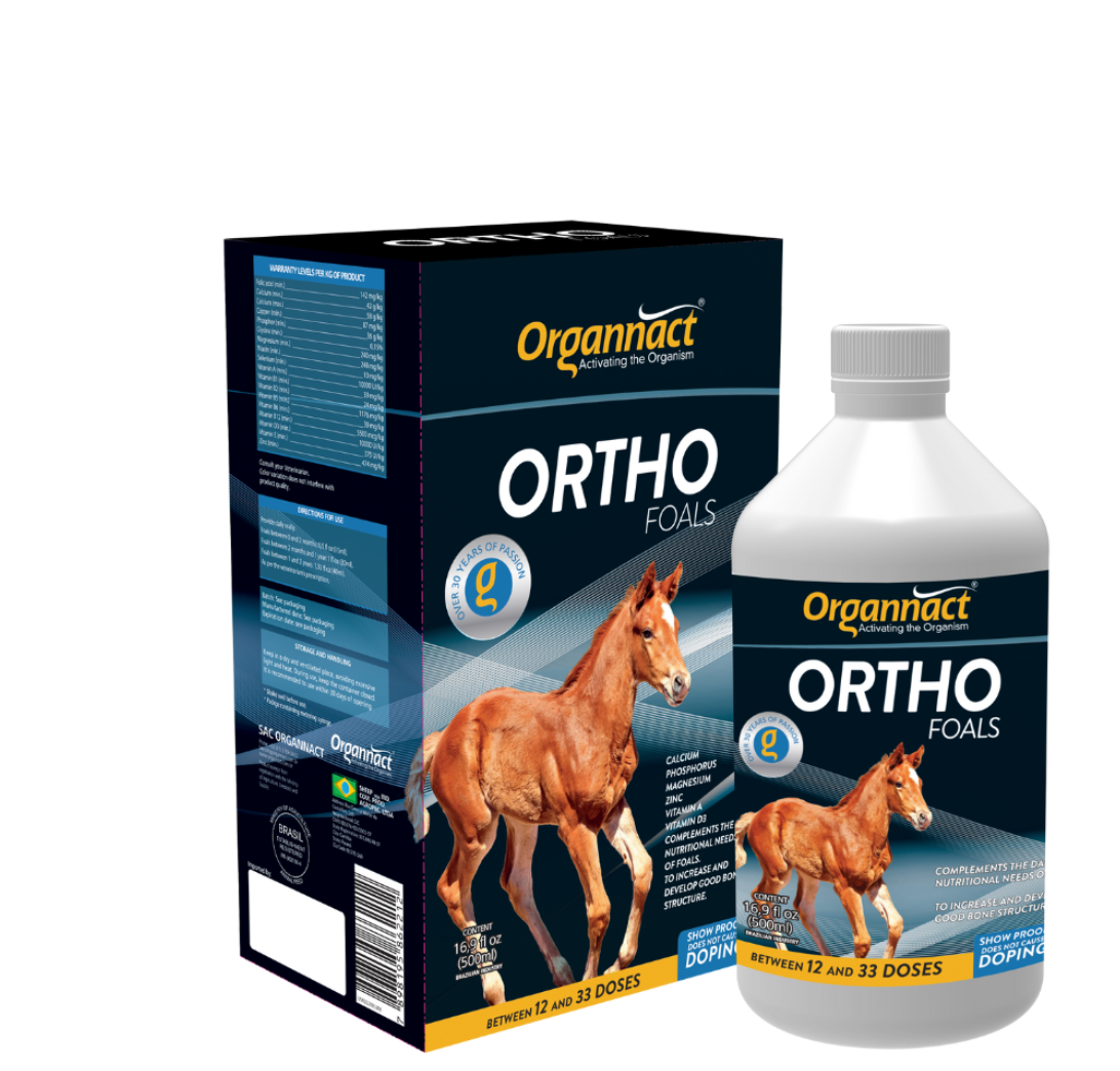 Ortho Foals – SK Equine Products